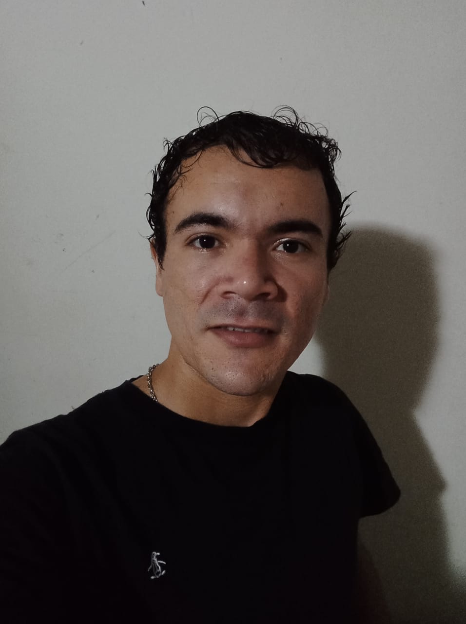 Portafolio CV - javier